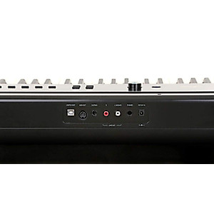 Artesia PA-88H 88-Key Weighted Hammer Action Digital Piano with Sustain Pedal and Power Supply (Black)