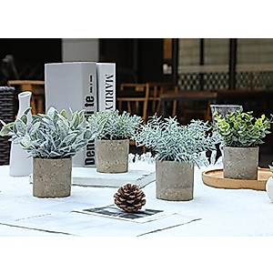 Miracliy Mini Potted Fake Plants Faux Artificial Eucalyptus Boxwood Rosemary Greenery in Gray Pots for Home Office Desk Bathroom Decoration Garden Decor, Indoor & Outdoor,Set of 4
