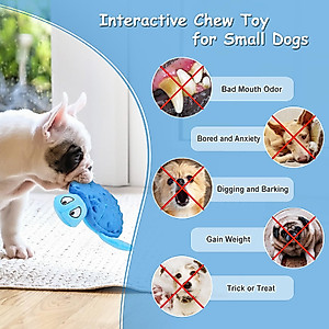 TONYFY Squeaky Sea Turtle Plush Dog Toy - Durable, No Stuffing, Interactive Chew Toy for Small Dogs - Relieve Anxiety, Teething, and Keep Them Busy for Puppy(Blue)