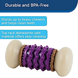 PetSafe Busy Buddy Nobbly Nubbly Treat Holding Dog Toy – Strong Chewers – Challenging - Treat Rings Included - Medium