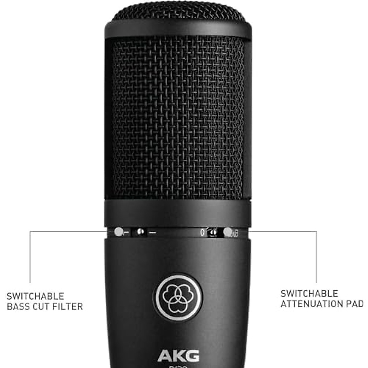 AKG Pro Audio P120 - Affordable 2/3-Inch Diaphragm Condenser Microphone for Clear Vocals & Instruments. Studio Recording or Live. XLR Connector. Black