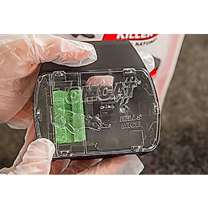 Tomcat Mouse Killer I Tier 1 Refillable Mouse Bait Station, 1 Station with 4 Baits (Box)