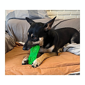 GALAPETGP: Dog Chew Toys. for Aggressive Chewers. Ultra Durable Squeaky Dog Toys. Heavy Duty Chew Toys for Medium & Large Dogs. Includes Free Lint Remover (Green)