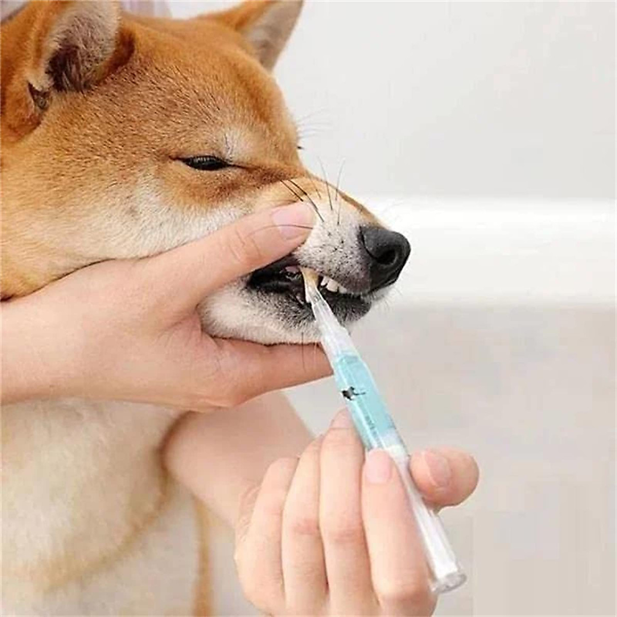Natural Plant Substance - Pet Teeth Repairing Kit Pet Dog/Cat Teeth Cleaning Pen for Dental Care,Pet Teeth Whitening Pen Tool Pet Dog/Cat Beauty (Pet Teeth Repairing Kit)
