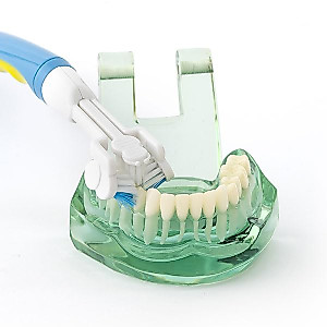 Triple Bristle Brush and Bite Handle Replacement Brush Head Combo | Special Needs & Autism Mouth Prop Toothbrush | Ergonomic Handle w/Bite Block | Patented 3 Head Design | Kids & Adults