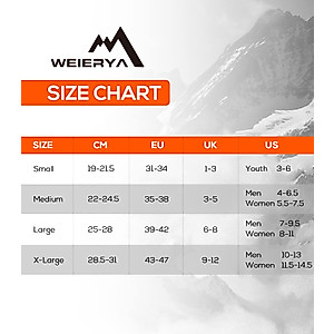 WEIERYA Merino Wool Ski Socks 2 Pairs Pack for Skiing, Snowboarding, Outdoor Sports Performance Socks Grey 2 Pairs L