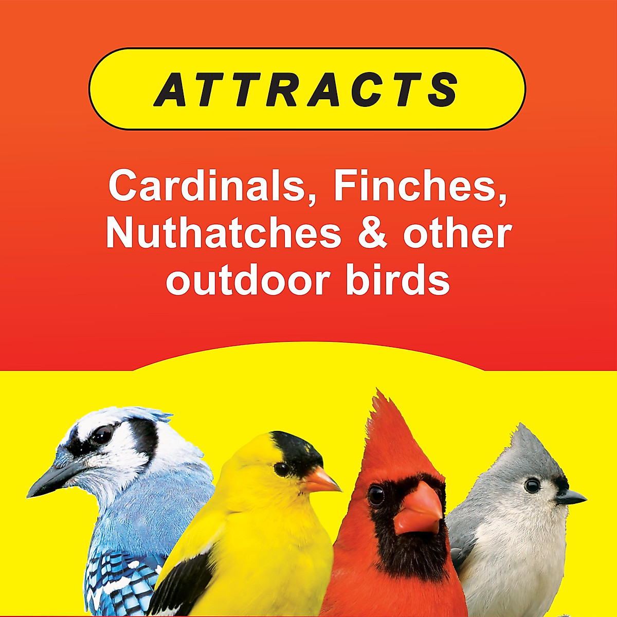 Wild Delight Sizzle N' Heat Bird Food, 5 lb