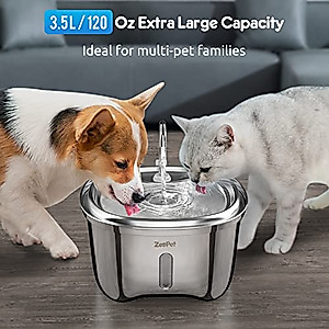 ZeePet Stainless Steel Cat Water Fountain, 3.5L/120oz Large Capacity Pet Water Fountain with Window, Automatic Dog Water Dispenser with led, with 3 Carbon Filter and 2 Pump Filter for Cat,Dog
