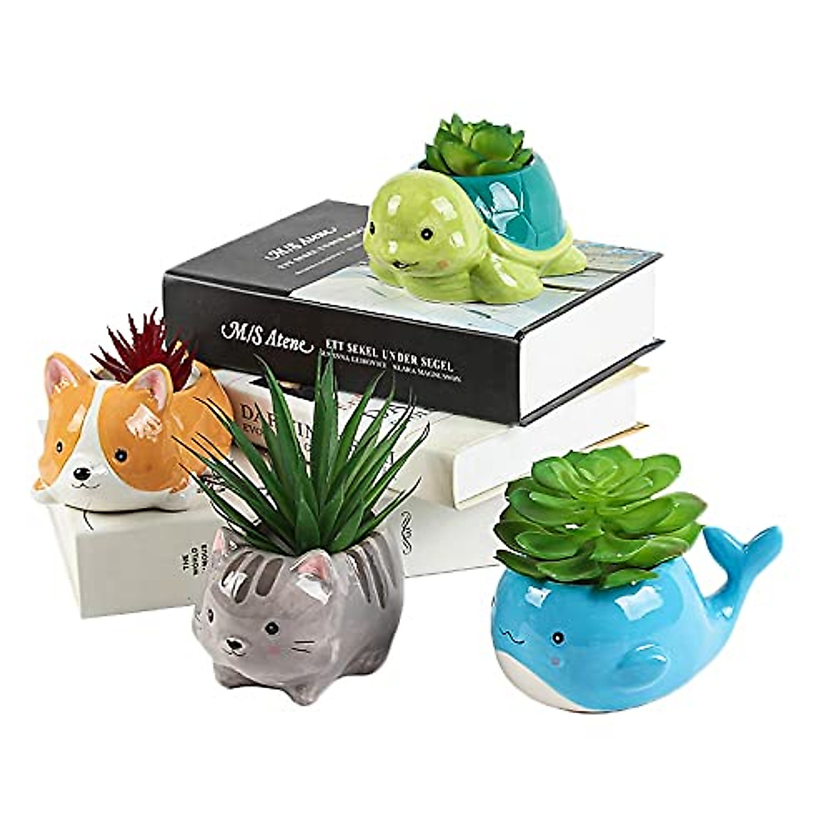 happyEase Succulent Planters - Cute Animal Succulent Pots with Drainage (Set of 4) - Dog Cat Whale Turtle - Small Planter Pot for Indoor Outdoor Decoration, Garden Decor, Indoor Planter, Garden Gifts