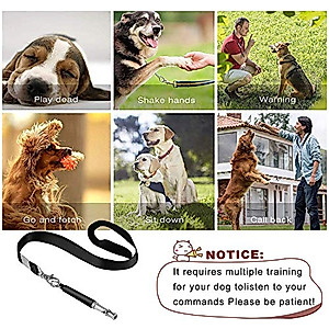 PILONG 2 Pack Dog Whistle, Dog Whistle to Stop Barking Neighbors Dog, Adjustable Ultrasonic Silent Dog Whistle, Professional Recall Dog Training Whistles with Lanyard