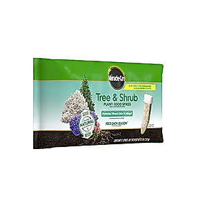 Miracle-Gro Tree & Shrub Plant Food Spikes, 12 Spikes/Pack, 12 count (Pack of 1)