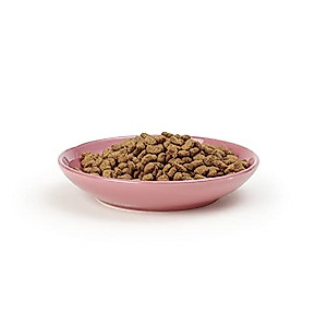 PetRageous 11035 Silly Kitty Dishwasher and Microwave Stoneware Cat Saucer 5-Inch Diameter 2.5-Ounce Capacity for Wet or Dry Cat Food Great For All Cats, Pink