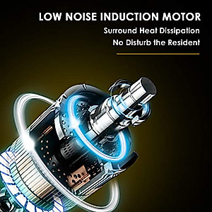 Woodskil 4.3A Belt Sander, 4 x 36 in. Belt & 6 in. Disc Sander, Double Dust Exhaust Port, Steel Base, 2Pcs Sandpapers Included