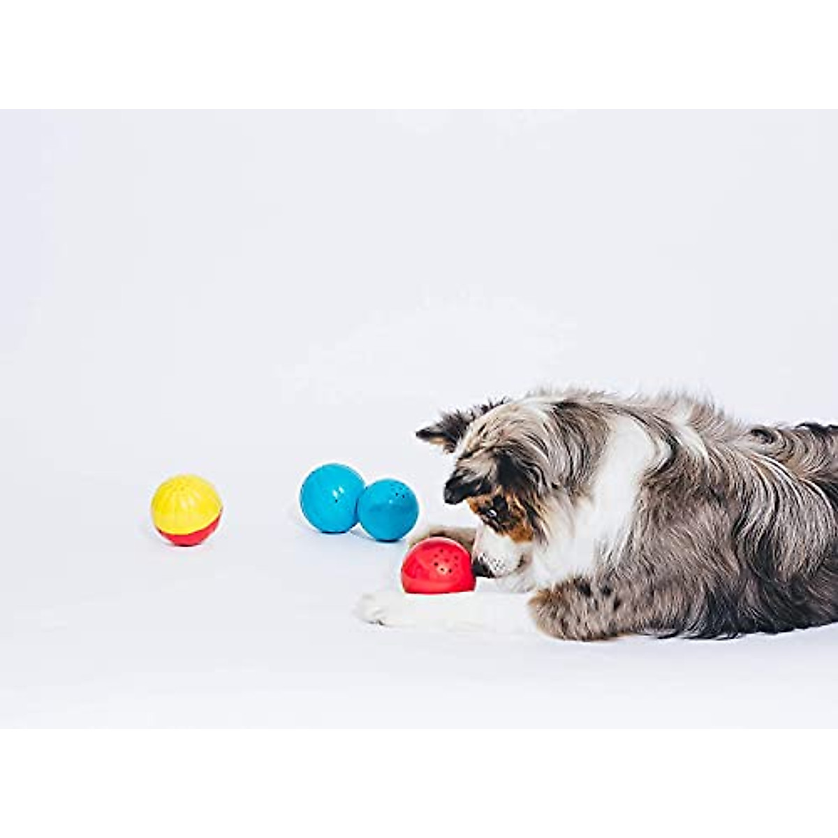 Pet Qwerks Animal Sounds Babble Ball - Interactive Chew Dog Toy - Small