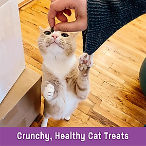 Wellness Kittles Natural Grain Free Cat Treats, Salmon & Cranberries, 6-Ounce Bag (Pack of 2)