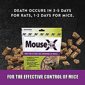 EcoClear Products 620200-6D MouseX All-Natural Poison Free Humane for Rats and Mice, 8 oz. Bag