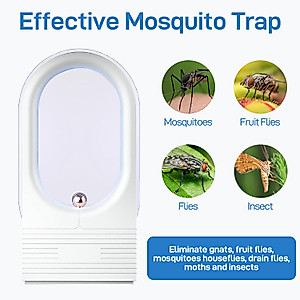 Flying Insect Trap, Insect Catcher, Indoor Fly Trap，Plug-in Bug Light Trap for Fruit Flies, Gnats and Houseflies (1 Device+5 Refills)
