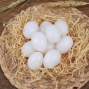 Pigeon False Eggs Fake Eggs 10pc Filled Plastic Simulation for Hatch Breeding Supplies Dropship Plastic Pigeon Egg Solid Pigeon Fake Egg Pigeon Hatching Supplies