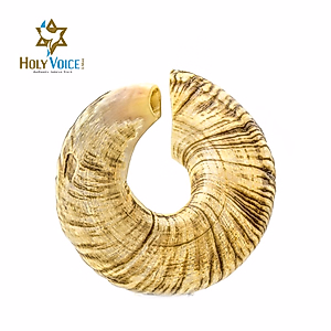 Holy Voice Yemeni Shofar Horn from Israel - Yemeni 24"-26" Shofar with Shofar Stand, Carrying Bag, Brush, Anti-Odor Spray – Made in Israel.