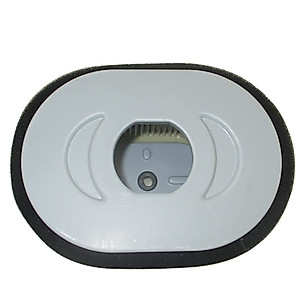 DJ-Motor Air Filter For Briggs & Stratton 799818 Cleaner Ca 25T232-0007-F1 25T237-0109-F1