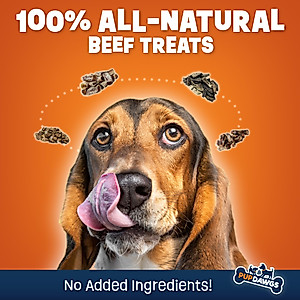 PUPDAWGS Beef Lung Dog Training Treats | Dog Dental Chews | Healthy Dog Treats Training | Low Calorie Dog Treats | Dehydrated Dog Treats Natural | Beef Lung Training Treats for Dogs (8oz Package)