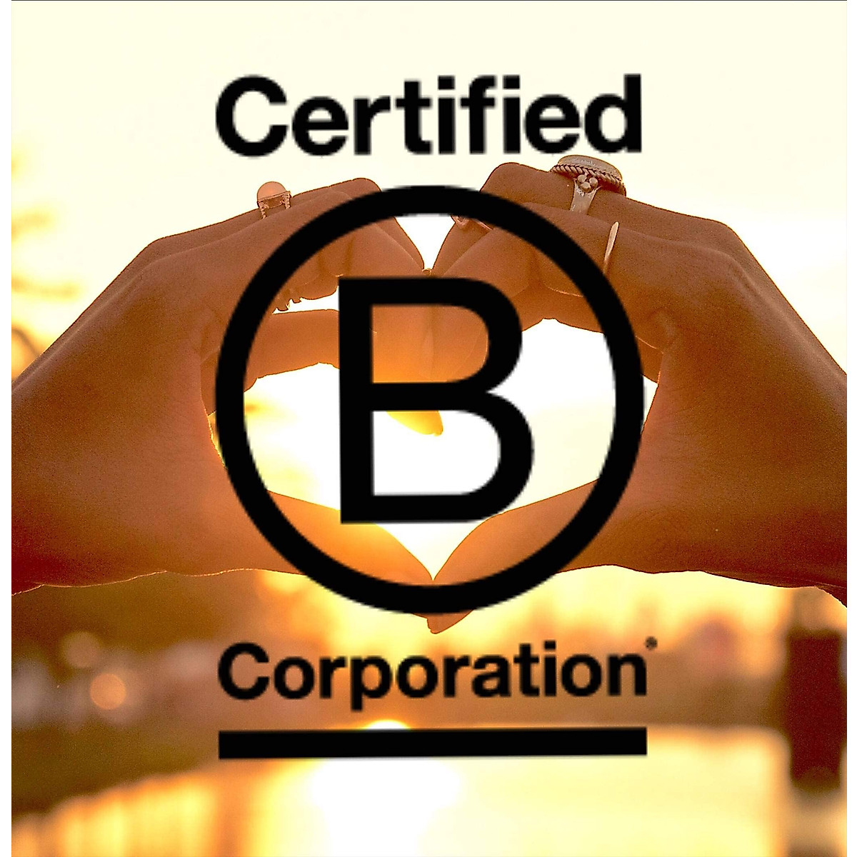 Mamma Chia Organic Vitality Squeeze Snack, Blackberry Bliss, 24- 3.5 Ounce Chia Pouches. USDA Organic, Non-GMO, Vegan, Gluten Free, and Kosher. Fruit and Vegetables with only 70 Calories