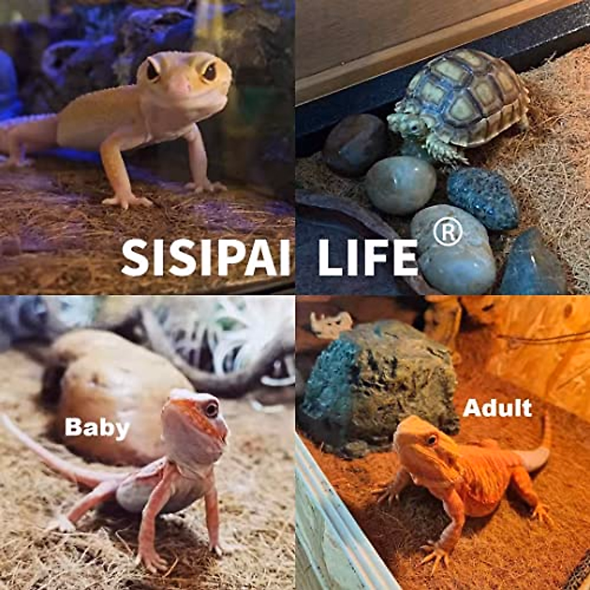 SISIPAI LIFE Reptile Carpet Coconut Fiber, 36" x 18" Reptile Terrarium Substrate Liner, Tortoise Bedding Carpet Mat Supplies for Pet Lizard, Chameleon, Bearded Dragon, Leopard Gecko, Iguana