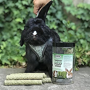 Timothy Puff Sticks - Healthy Natural Timothy Hay Chew Treat - High Protein, High Fiber - Guinea Pigs, Rabbits, Chinchillas, Prairie Dogs, Degus, Hamsters, Rats, Tortoises & Other Herbivores