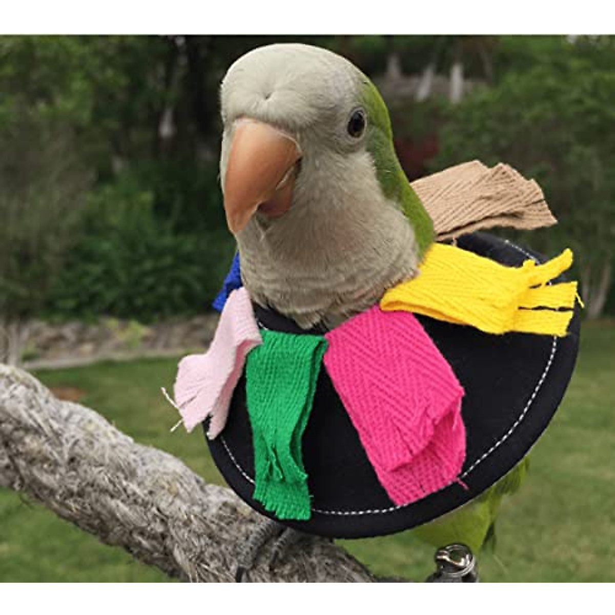Adjustable Bird Collar Anti Bite Elizabethan Recovery Cone, Bird Neck Protector for Feather Plucking, Skin-Friendly Bird Neckwear Full Body Shield for Parakeet Conure Cockatiel (M)