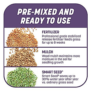 Pennington Smart Patch Dense Shade Mix Jug 5 lb