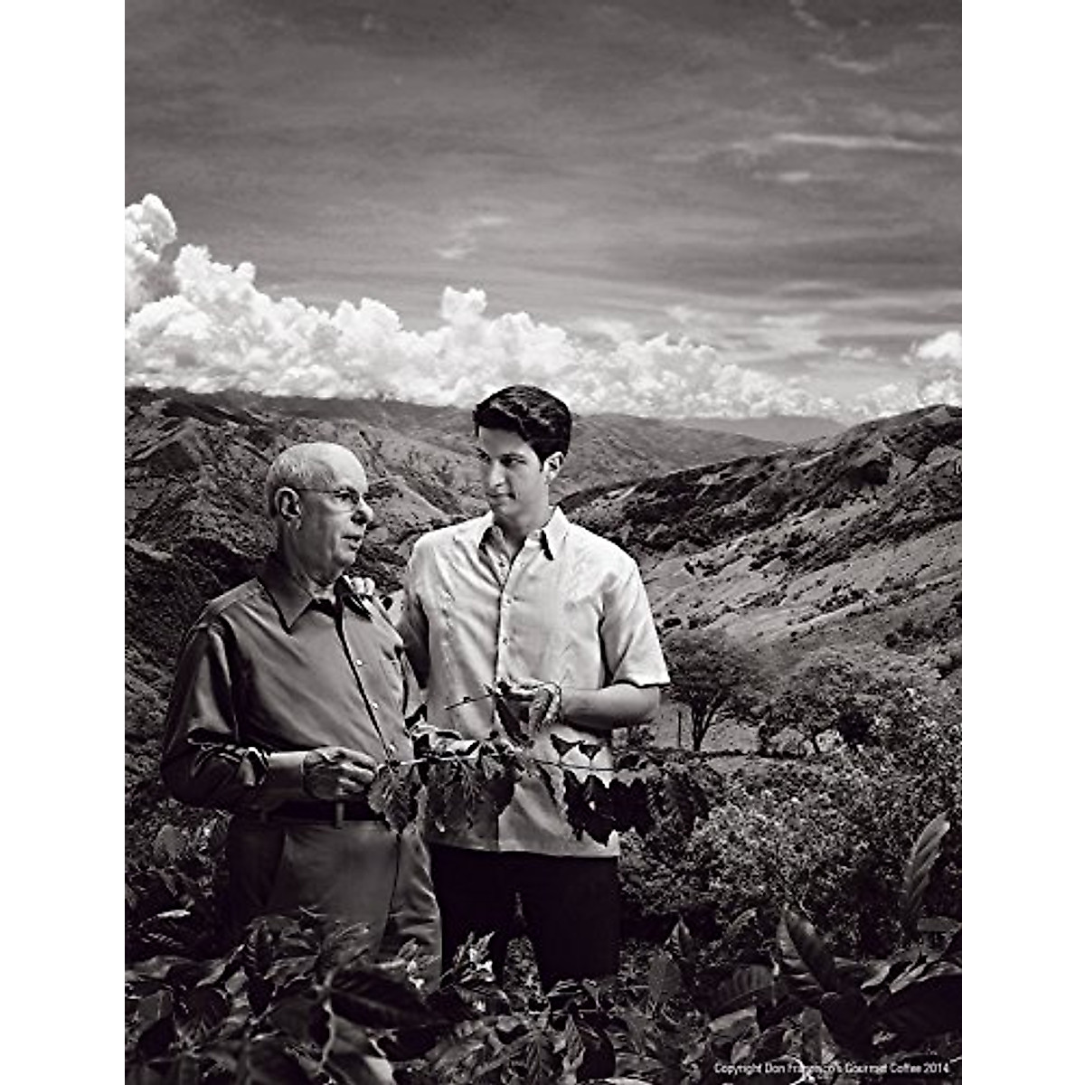 Café La Llave Espresso, Dark Roast, Fine Grind, 4-10 ounce bricks