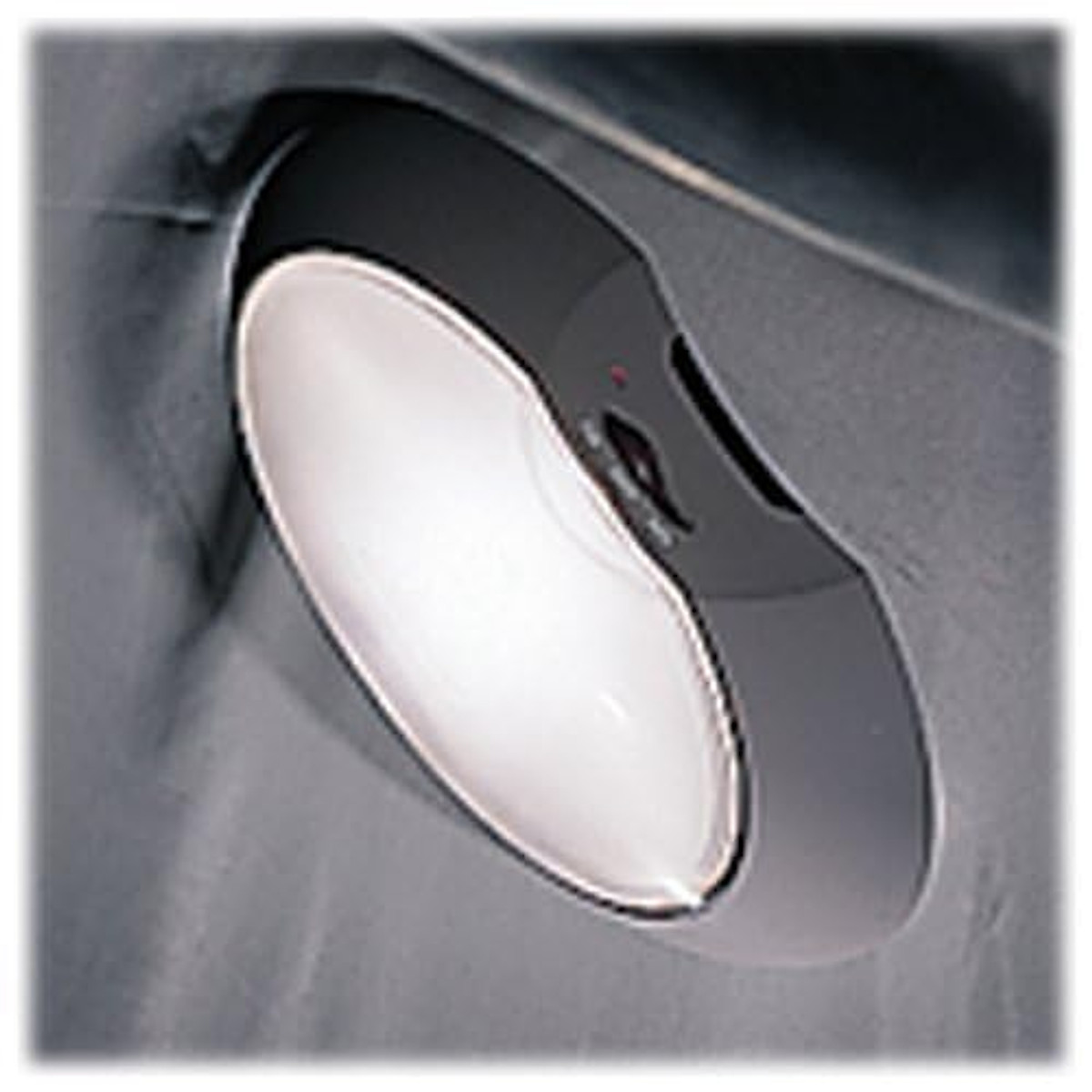 Coleman Tent Light