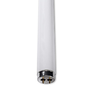 Technical Precision 34W Linear Fluorescent Light Bulb - Replacement for Philips F34CW/RS/EW/Alto Tuff Coated Light Bulb 4100K Cool White - G13 Medium Bi Pin Base - T12 4Ft Tube - 1 Pack