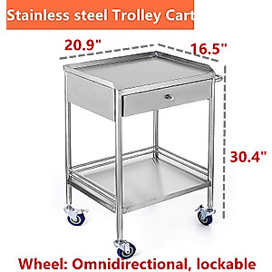 Lab Serving Cart, 2-Layer Utility Cart Stainless Steel with Wheels Rolling Cart, Commercial Wheel Dental Lab Cart Utility Services with Single Drawer and Silent Omnidirectional Lockable Wheel