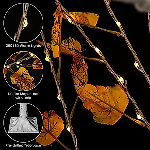 Recaceik Light Fall Maple Trees with 360 LEDs, Set of 3 Artificial Pre-Lit LED Christmas Tree Maple Leaf 4' 5' 6' for Autumn Fall Decor Halloween Thanksgiving Festival Wedding Party, White