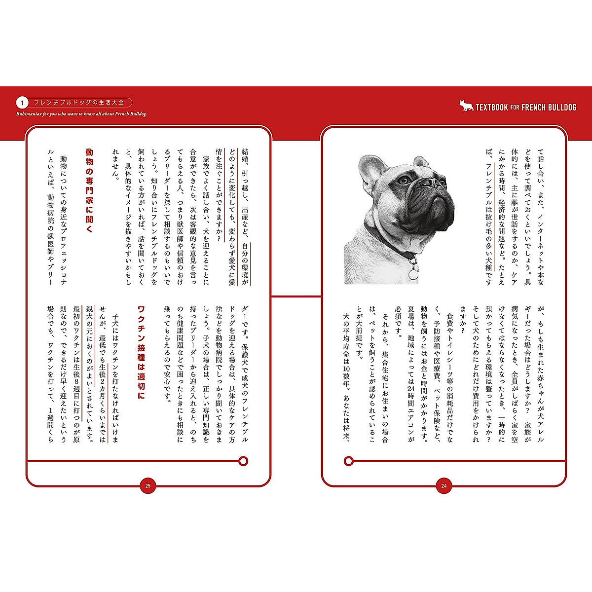 BUHI MANIACS vol.4 フレンチブルドッグの教科書 (BUHI MANIACS vol. 4)