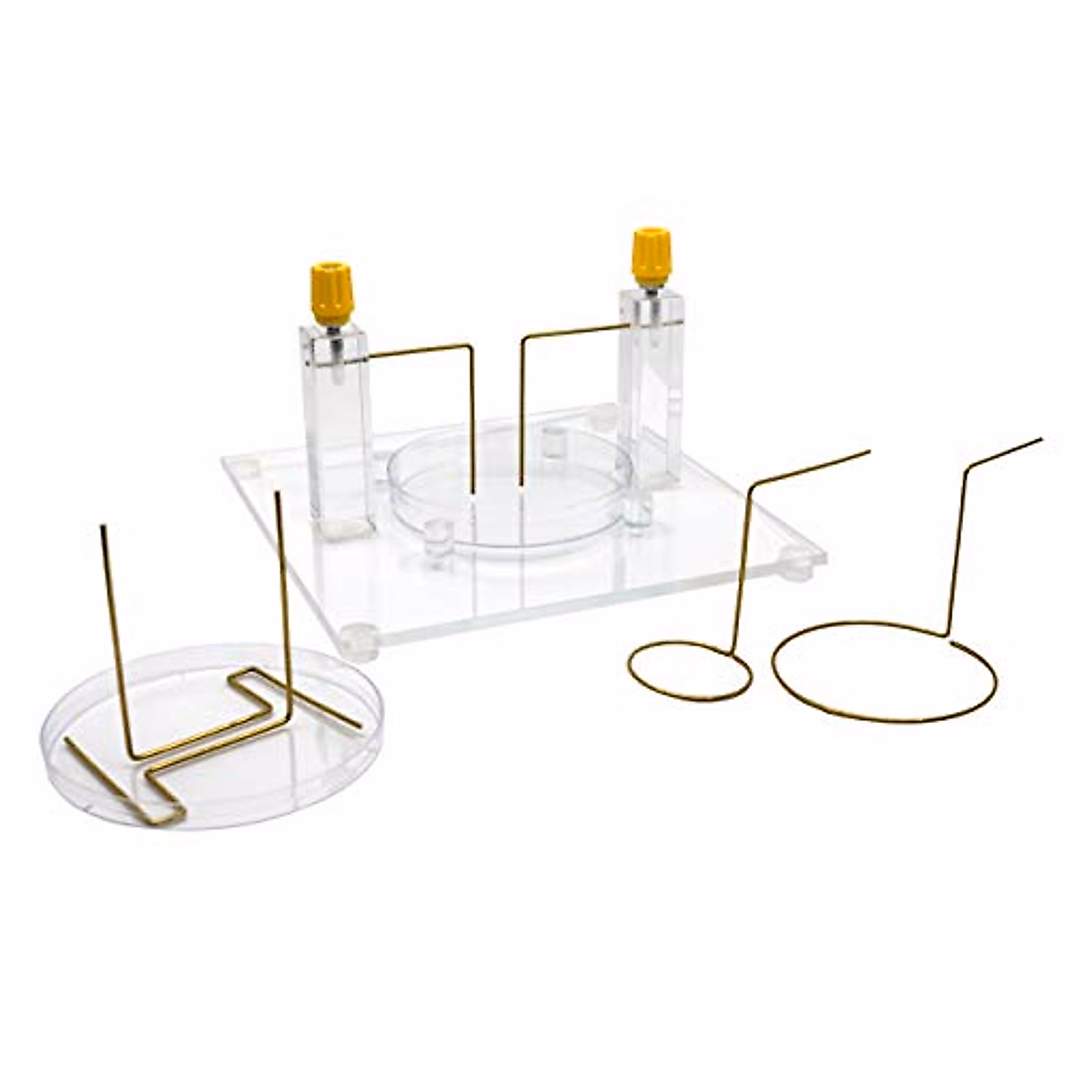 Electric Field Apparatus - for Demonstrating Electric Field Shapes - Eisco Labs