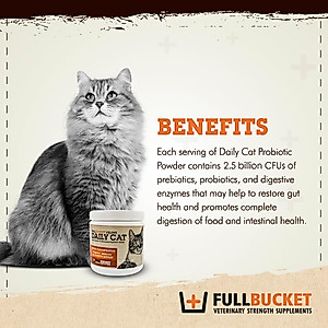 FullBucket Daily Cat Probiotic Powder - Digestive Supplement for Diarrhea, Gas and Supporting Gut & Stomach Health with Prebiotics & Enzymes, 30 Servings