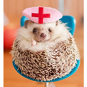 Hedgehog Chair Mini Plastic Swivel Seat Small Animal Toys Habitat Decor Cage Accessories Hedgehog Supplies Photo Props Chair Toy for Hedgehog,Bird,Parrot,Mouse,Chinchilla, Rat,Gerbil,Dwarf Hamster
