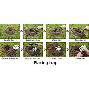 Gopher Trap (Pack of 2) LASSO TRAP Galvanized & Oil Hardened Steel//Super Cost-Effective, Reusable, & Durable Animal Trap Best in The Lawn, Yard, Garden, Farm, & All Outdoor Settings w/Manual