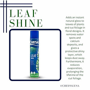 Chrysal Leaf Shine Spray for Indoor Plants (15 Ounce 1 Pack)