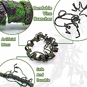 BNOSDM Reptile Vines Plants Flexible Jungle Climbing Vine Natural Moss Rope Jungle Decor for Bearded Dragons Lizards Snake Chameleon Geckos