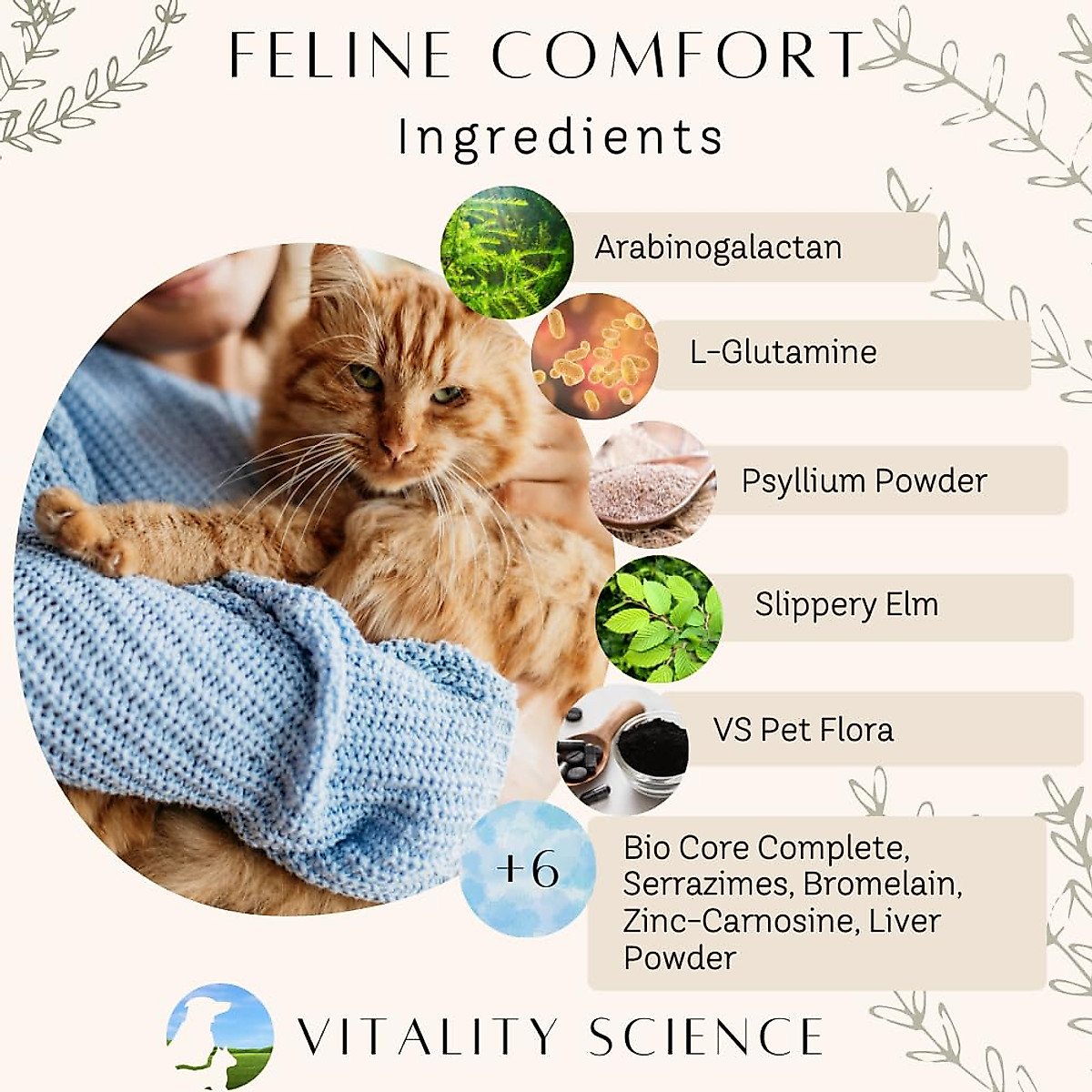 Vitality Science Feline Comfort for Cats | Maintains a Healthy Intestinal Tract and Proper Gut Flora | Restores Gastric Stability | for Vomiting and Diarrhea | 100% Additive Free (Seafood, 98g)
