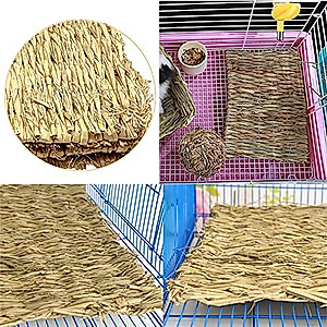 Tfwadmx 20 Pcs Bunny Grass Mat Rabbit Natural Straw Woven Bed Small Animal Cages Sleeping Hay Mats Nest Play Chew Toys for Guinea Pig, Parrot, Hamster, Chinchilla, Squirrel and Small Animal