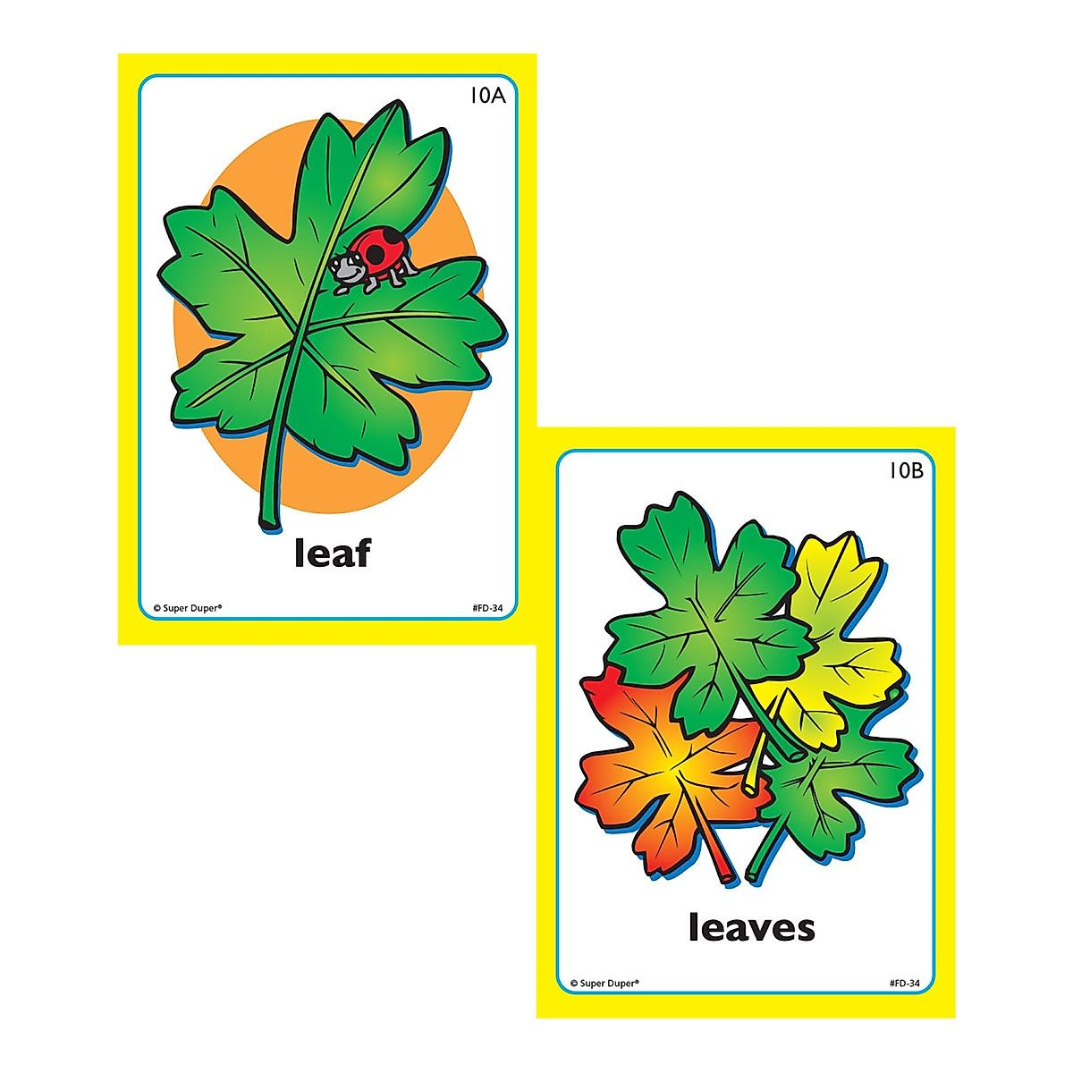 Super Duper Publications | Irregular Plurals Fun Deck Flash Cards | Educational Learning Resource for Children