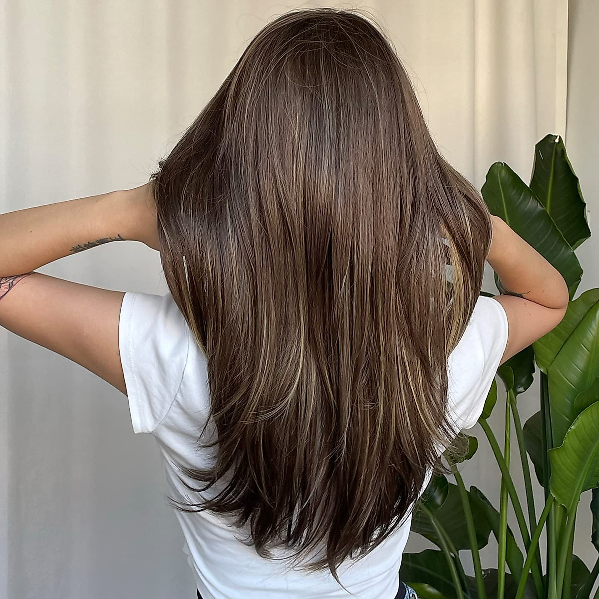 HAIRCUBE Long Brown Wigs for Women Layered Synthetic Hair Wig with Highlight