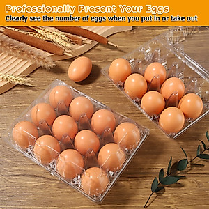 40 Pack Egg Cartons Cheap Bulk, Reusable Plastic Egg Cartons for Chicken Eggs, 1 Dozen Holds up to 12 Eggs, Clear Empty Reusable Egg Carton for Home Ranch Chicken Farm, Business Market Display