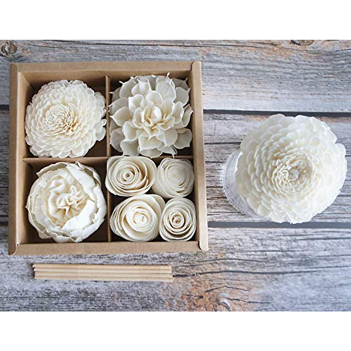 Mixed White Sola Flower with Cotton Wick Diffuser Set Replacement for Home Fragrance by Plawanature