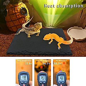 Linifar Turtle Basking Rock Tortoise Bathing Plate Reptile Platform Dish Habitat Accessories Supplies for Gekko Bearded Dragon Squirrel Hedgehog