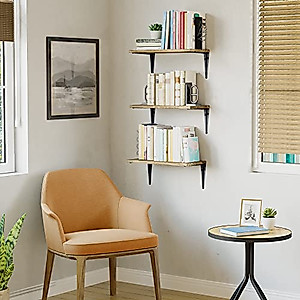 Wallniture Arras 17"x8" Wall Bookshelves for Living Room Decor Kitchen Organization Office Decor, Shelves for Bedroom & Bathroom Storage Set of 3, Burnt Finish